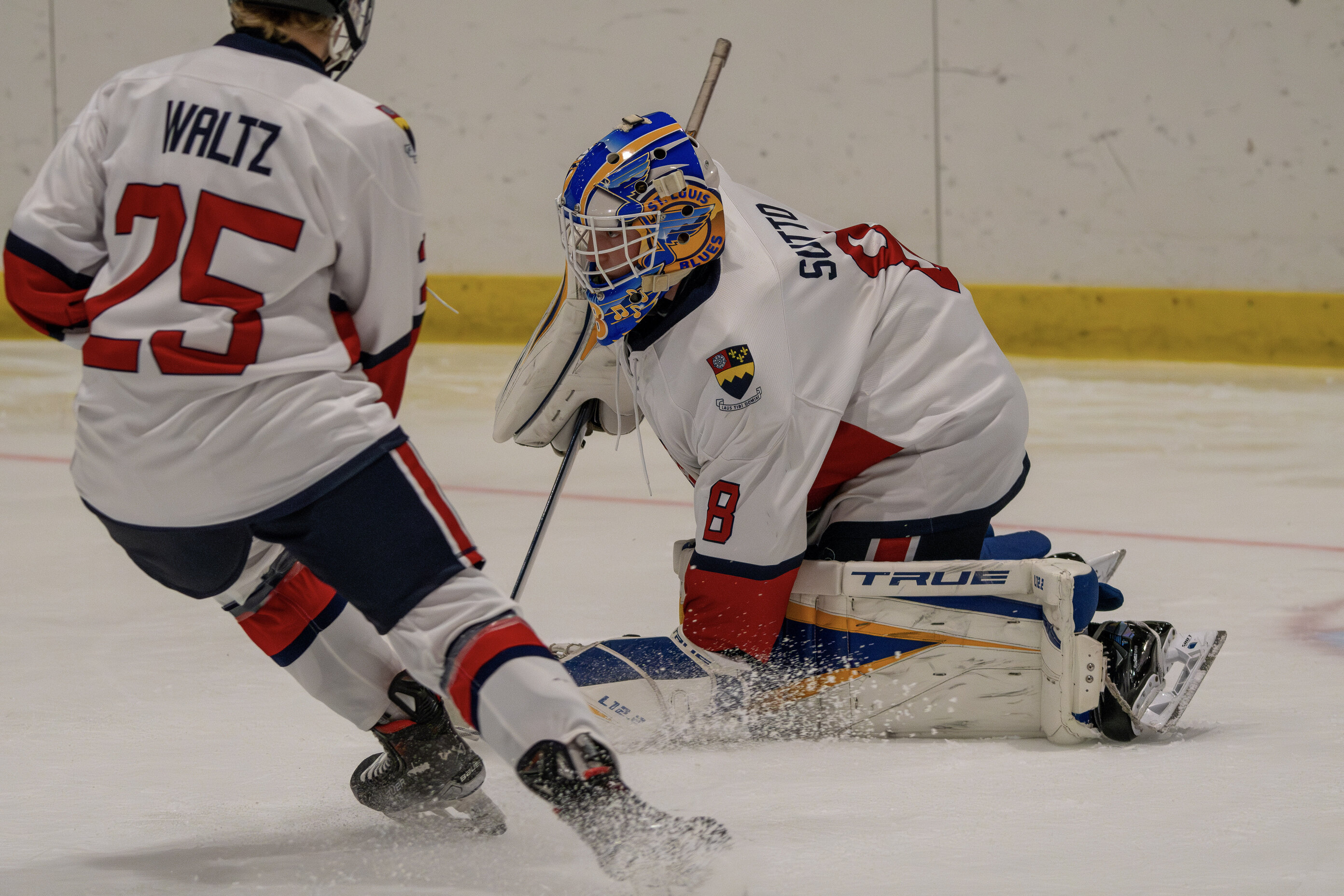 Thesis | Tyler Witkowski